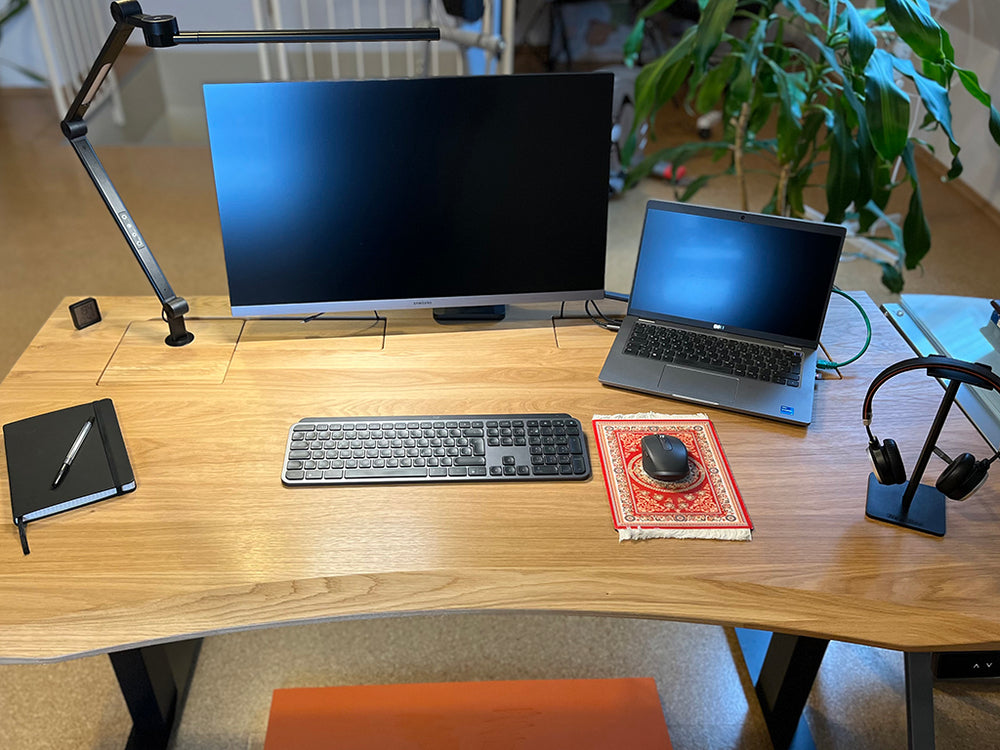 Ultimate Ergonomic Desk Setup Ideas for Your Home Office – ErgoHide