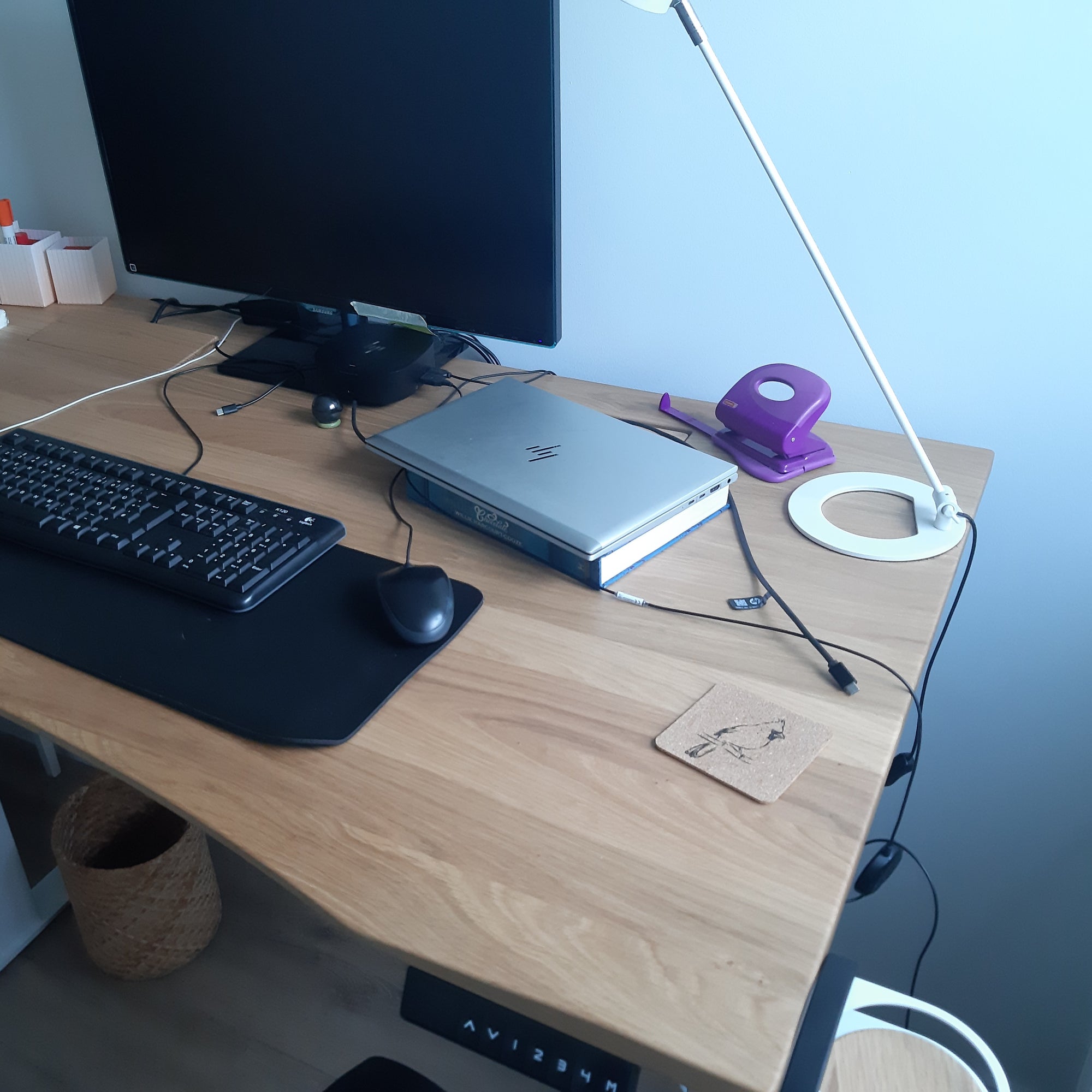 Ultimate Ergonomic Desk Setup Ideas for Your Home Office – ErgoHide
